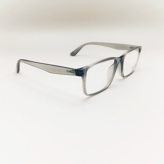 Ray-Ban RX7241D 8012-55 – thezettoptic